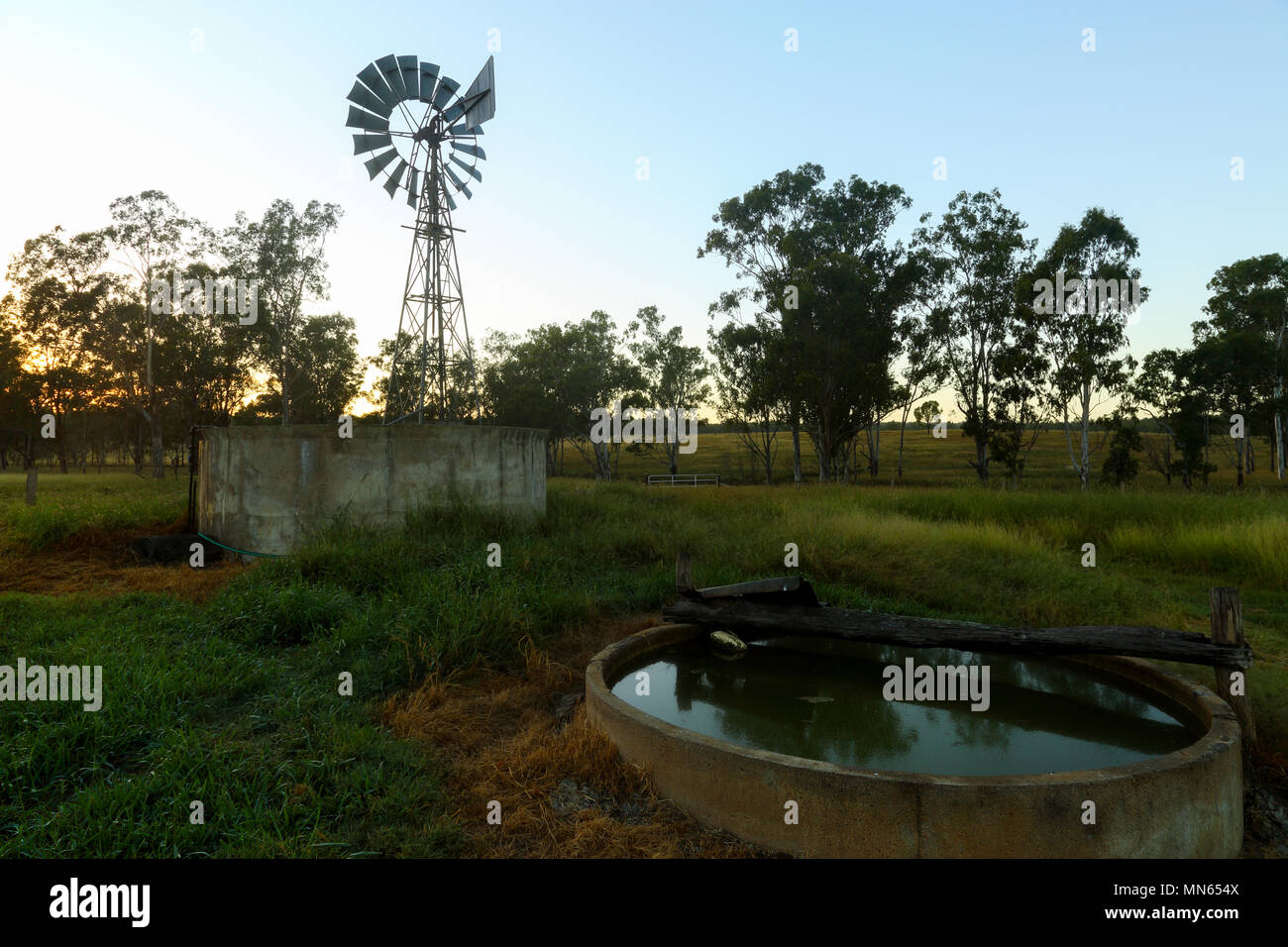 Farm Water Trough High Resolution Stock Photography and Images - Alamy