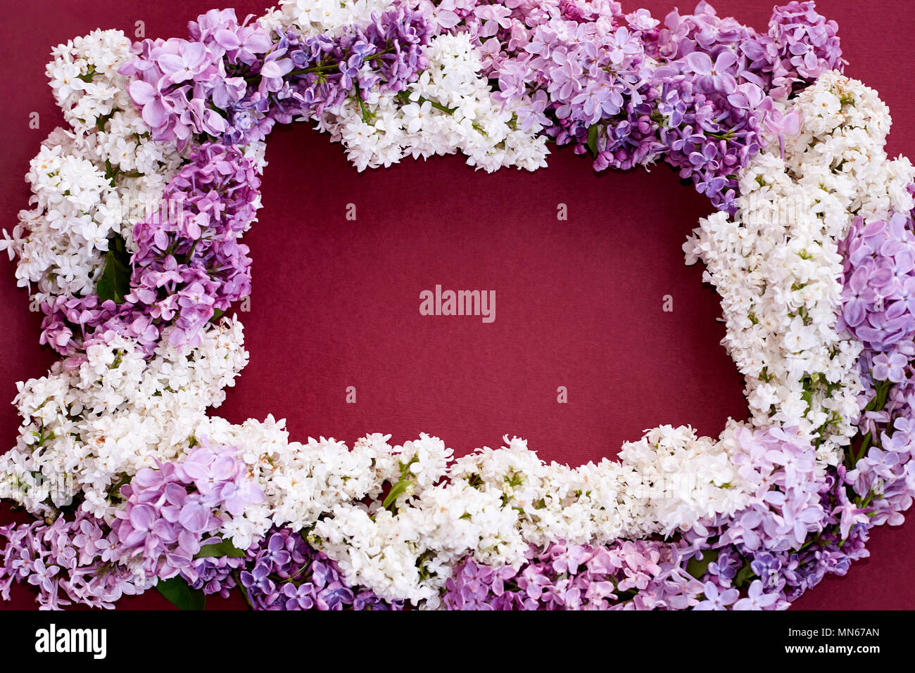 Real flower frame hi-res stock photography and images - Alamy