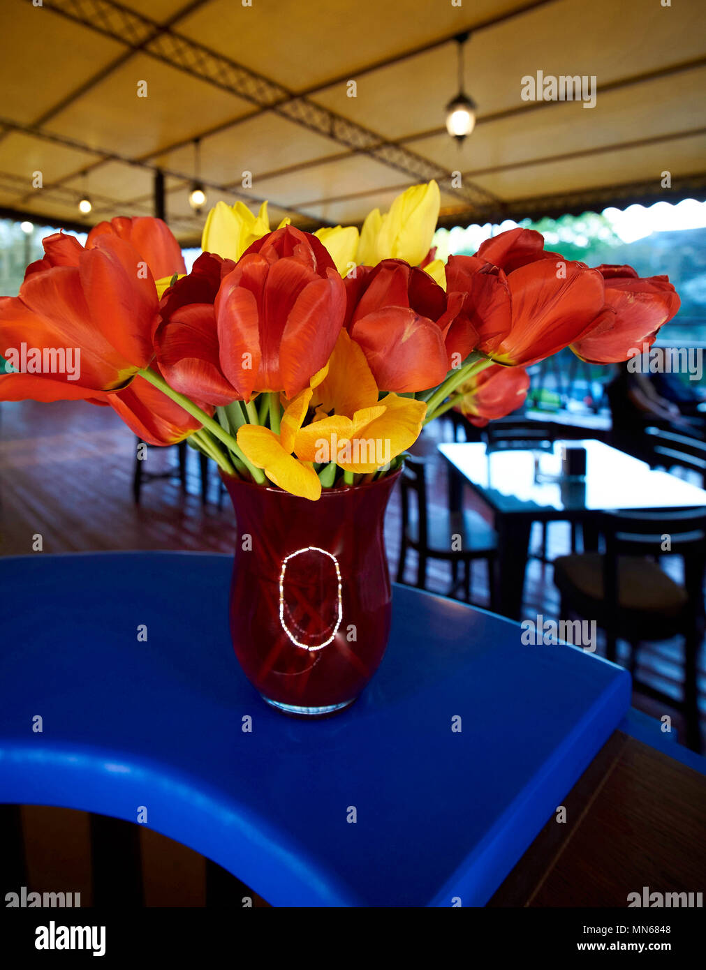 A bouquet of red and yellow tulips in a vase on the bar of a summer ...