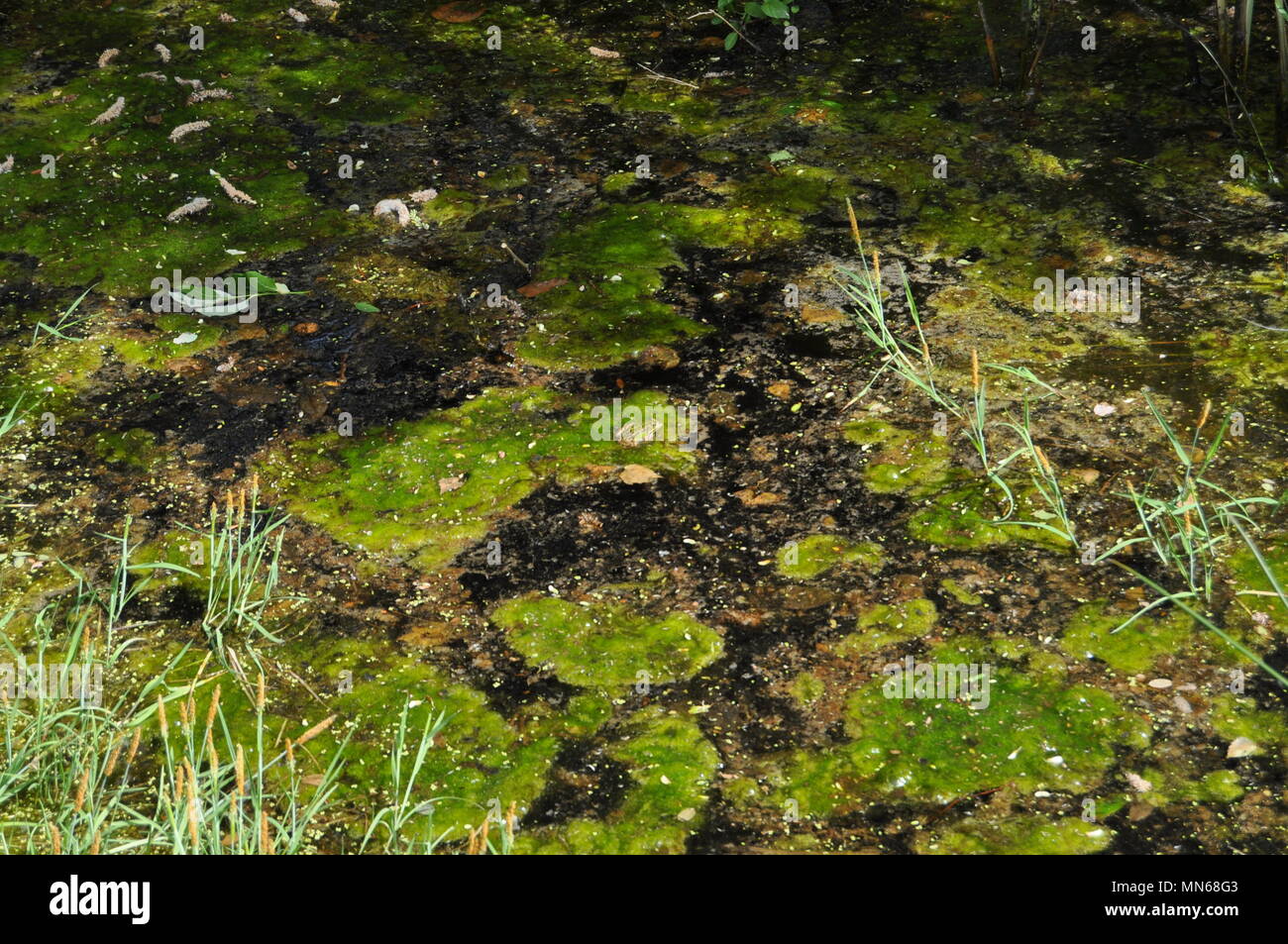 Sump surface hi-res stock photography and images - Alamy