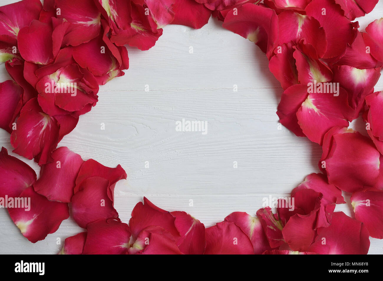 Frame made of red roses petals on white background. Flat lay, top view mockup. Valentine's ...