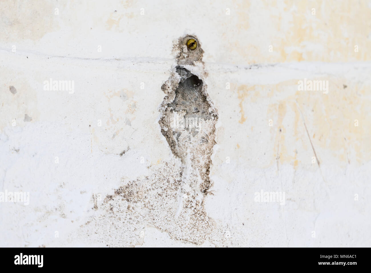 Cracks holes on the cement wall Caused by drilling To put the plumbing ...