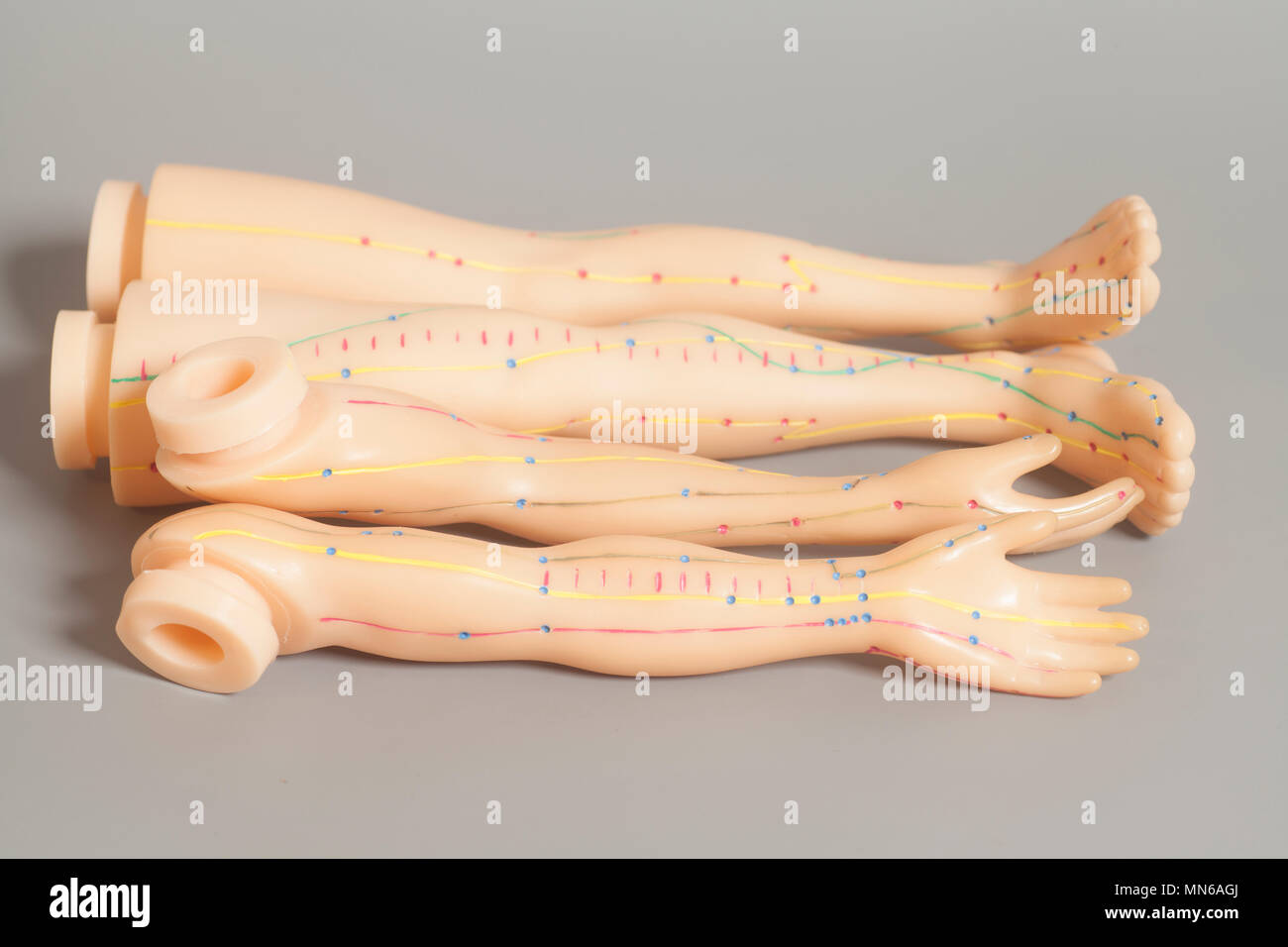 Medical acupuncture model of human body parts legs and hands on gray ...
