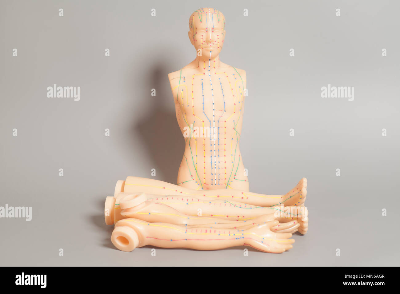 Medical acupuncture model of human and body parts on gray background ...