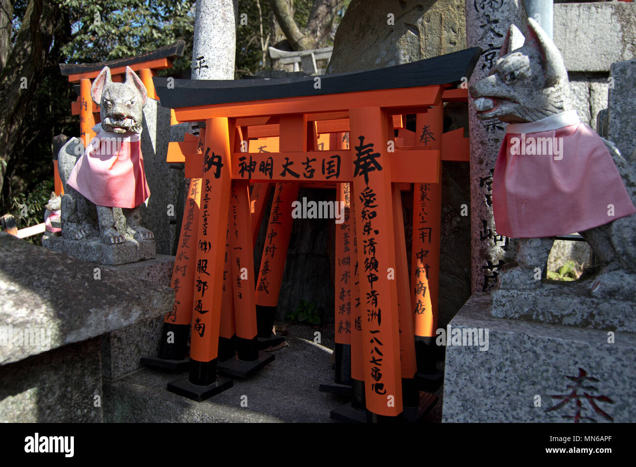 Small tori gates at the Fushimi Inari shrine in Kyoto, Japan Stock ...
