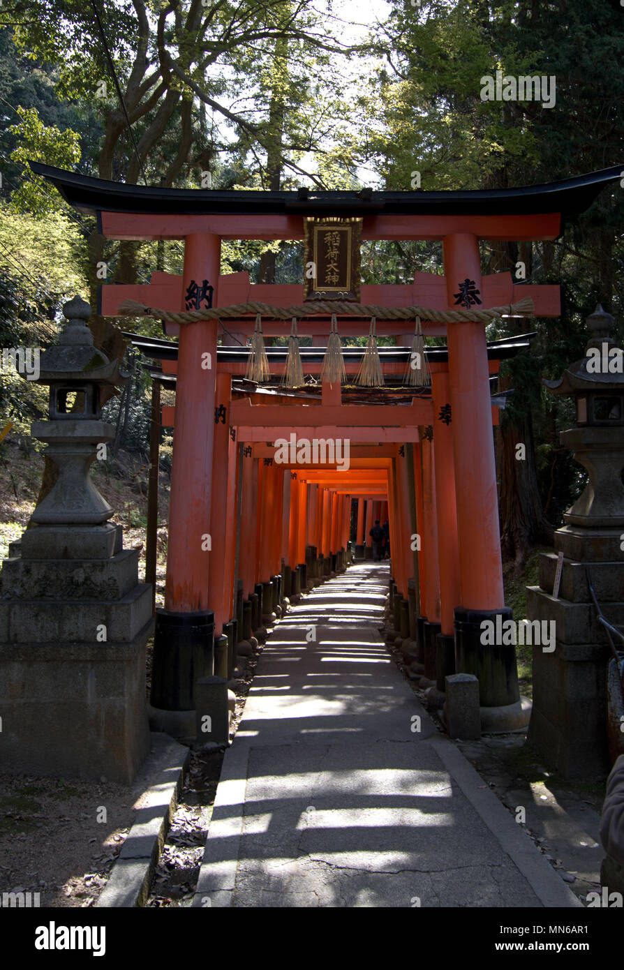 Tori gates hi-res stock photography and images - Alamy