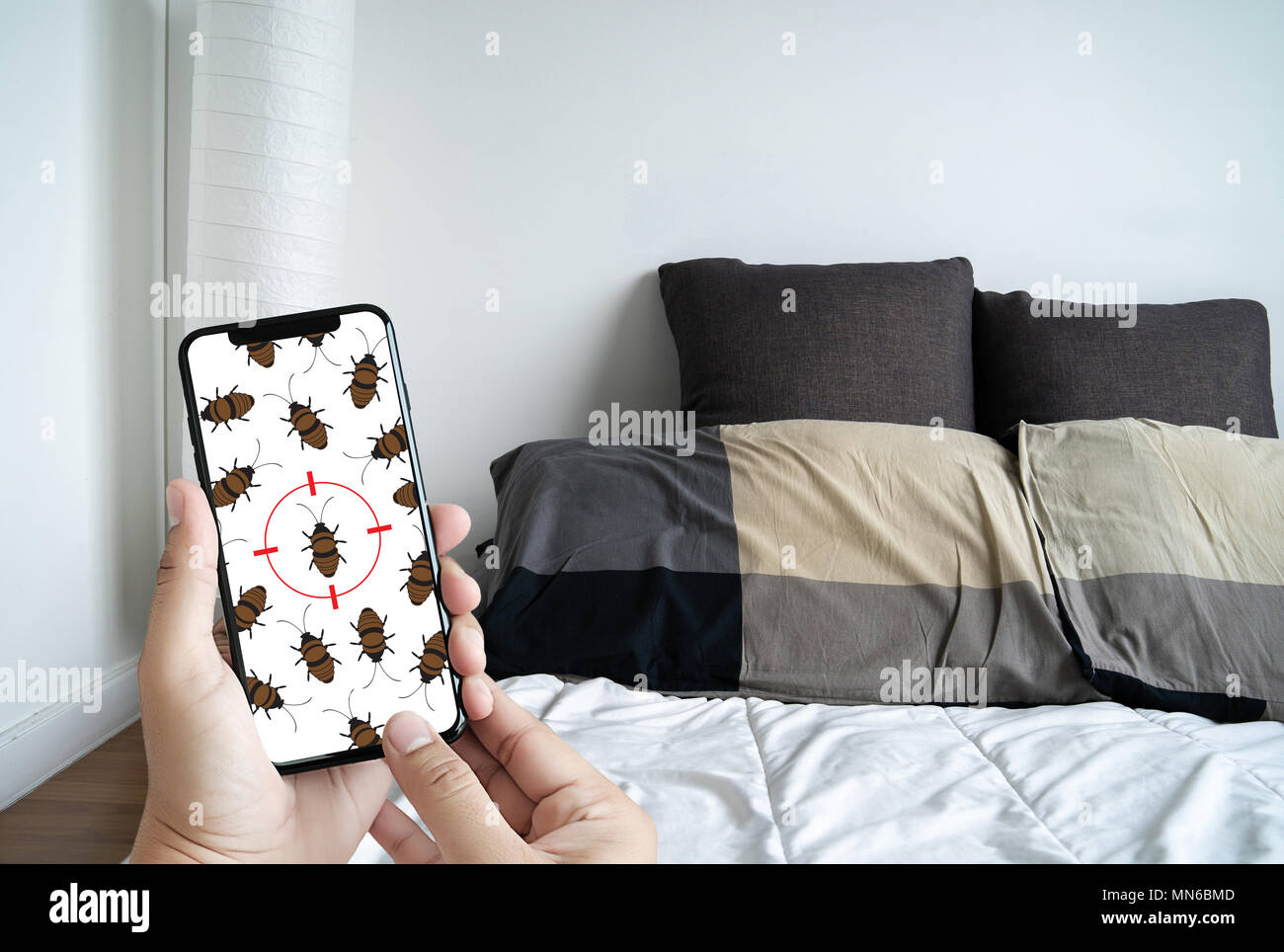 Women are checking for unusual things and detecting bed bugs in the ...