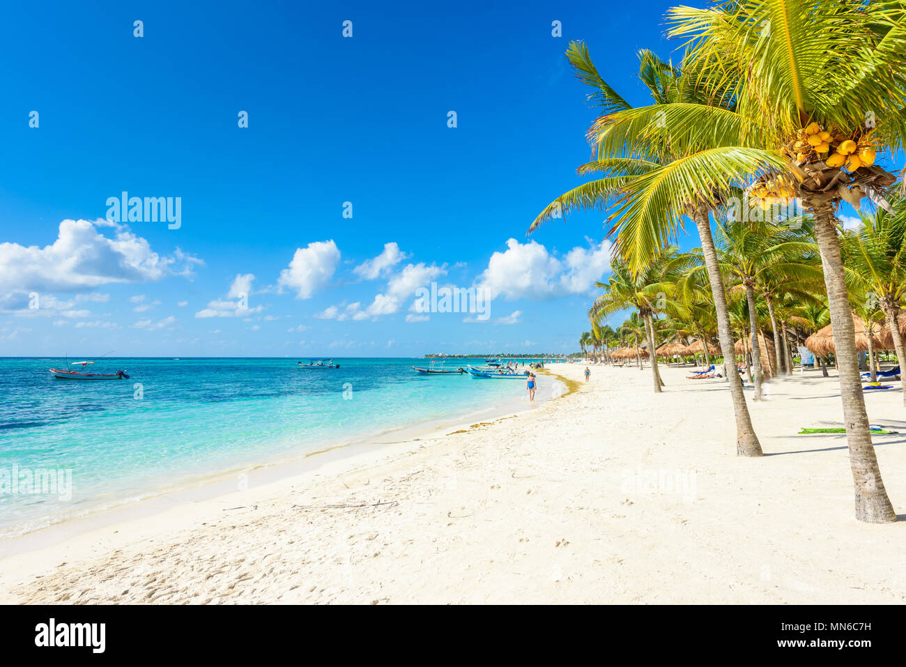Akumal beach - paradise bay Beach in Quintana Roo, Mexico - caribbean ...