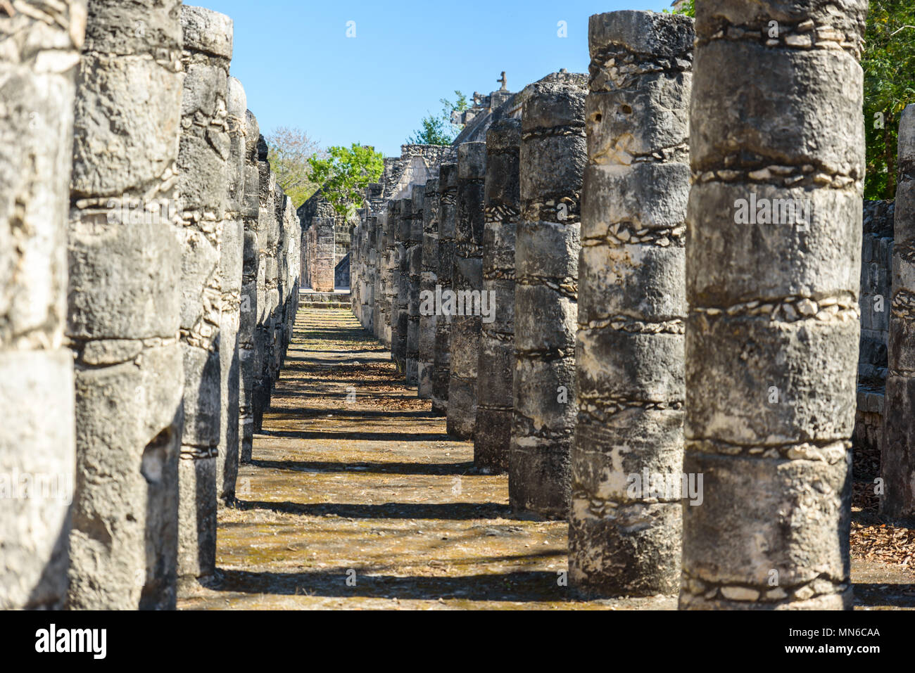 Ruins of Chichen Itza, Columns in the Temple of a Thousand Warriors ...