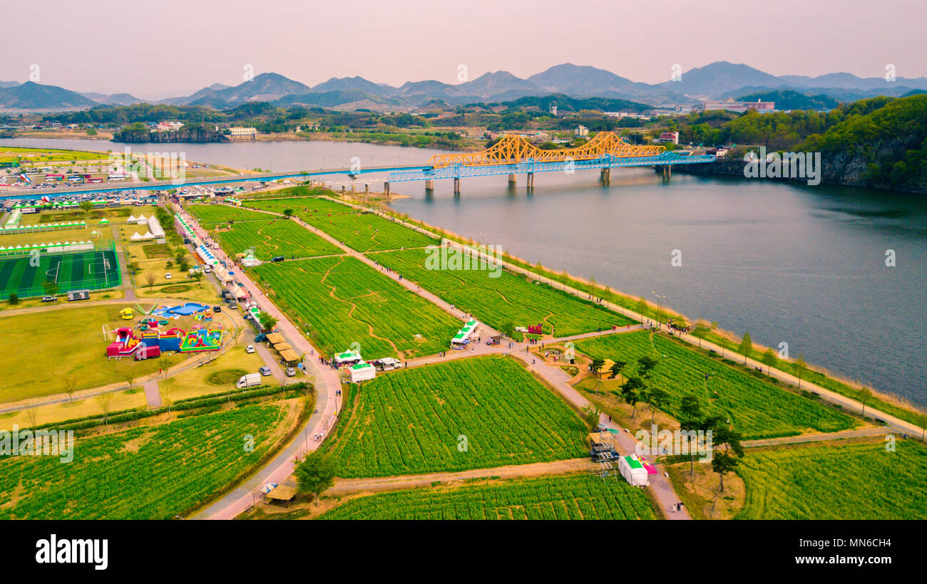 Aerial view of Changnyeong Nakdonggang Yuchae Festival in Changnyeong ...