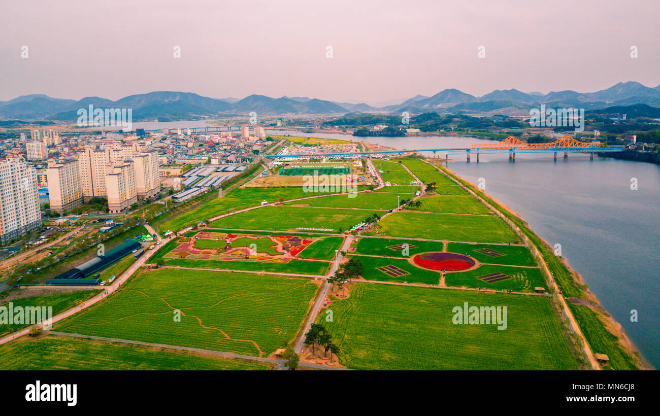 Aerial view of Changnyeong Nakdonggang Yuchae Festival in Changnyeong ...