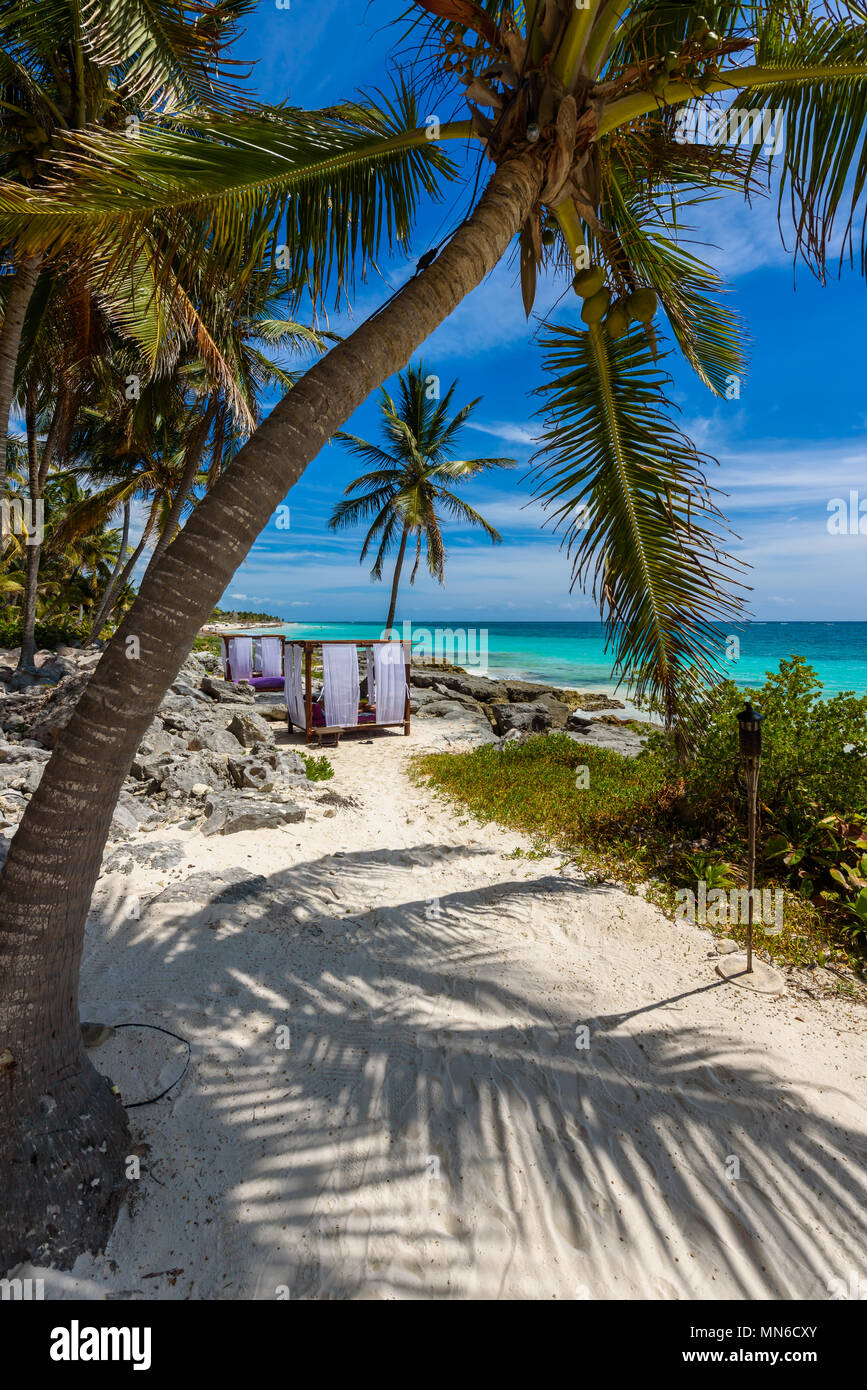 Beach beds under the palm trees on paradise beach at tropical Resort ...