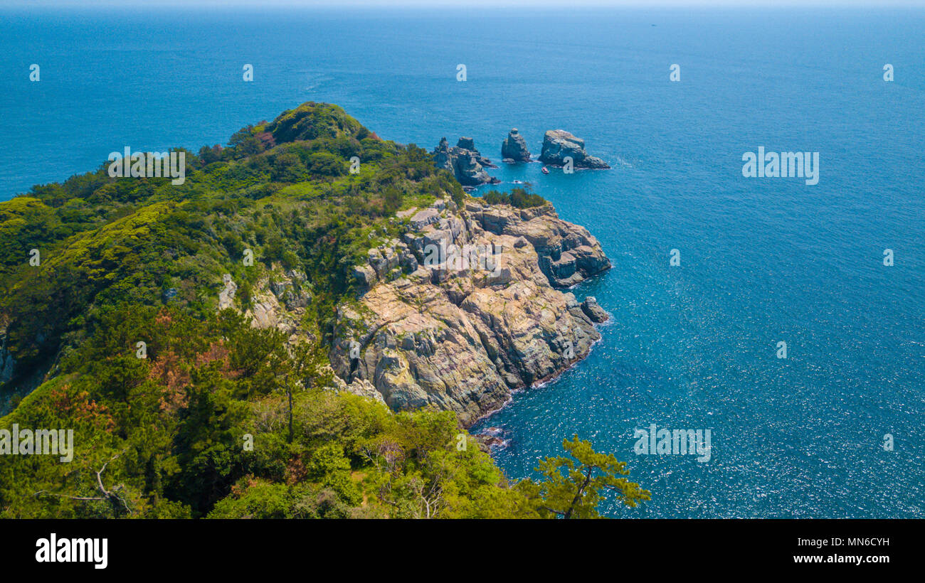 Aerial view of Oedo-Botania island, garden scenery at summer day in ...