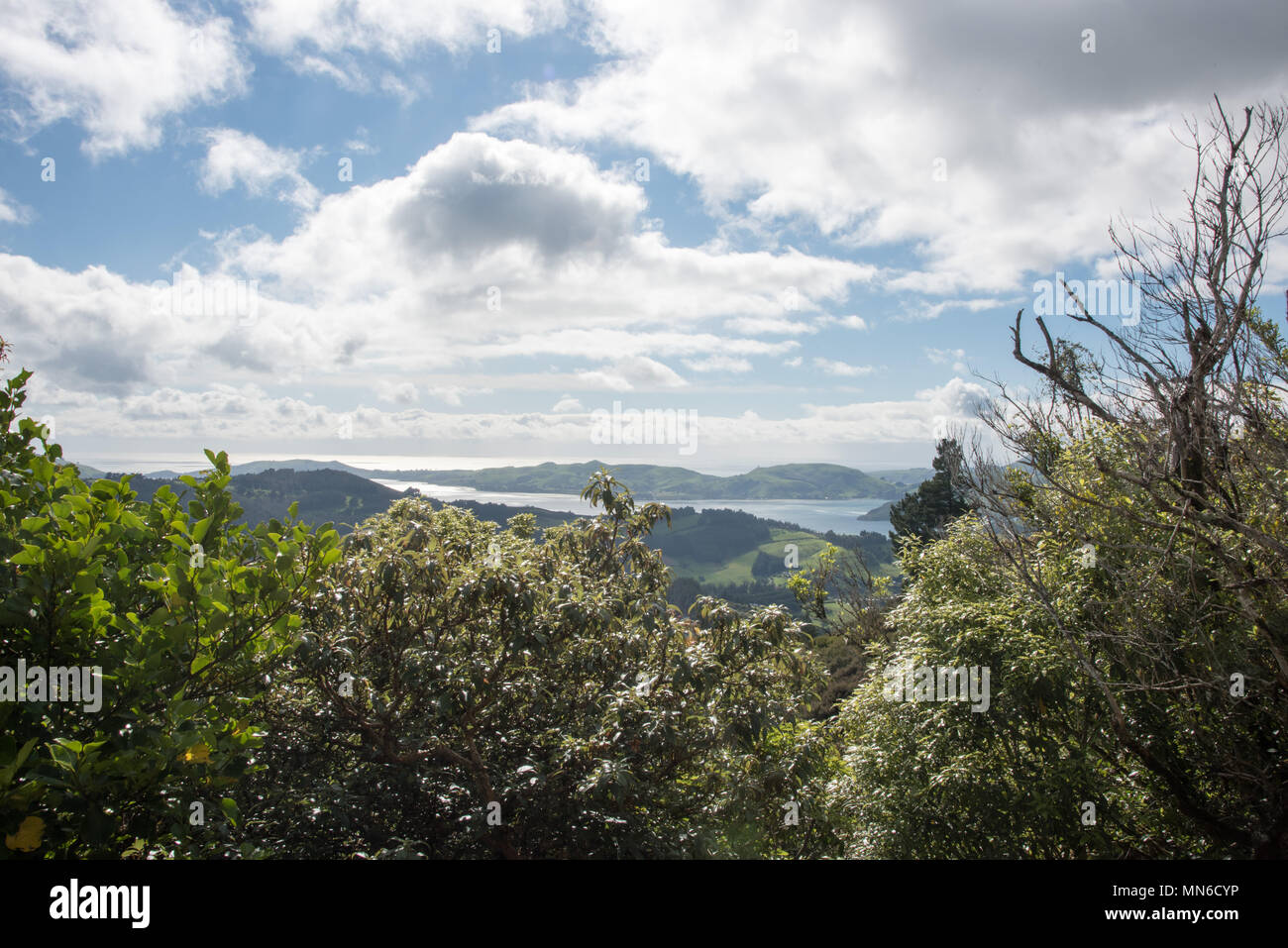 Scenic elevated view over the Otago Peninsula from Mt. Cargill with ...