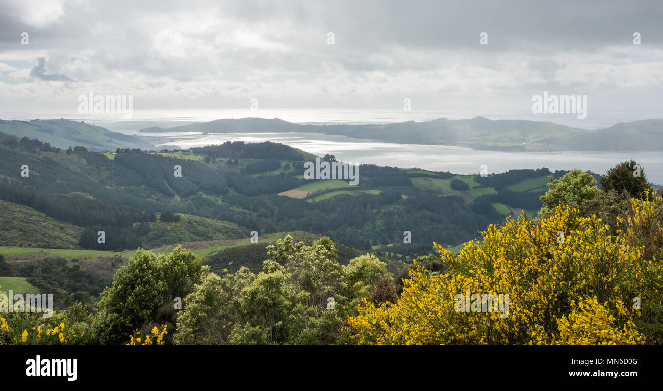 Scenic elevated view over the Otago Peninsula from Mt. Cargill with ...