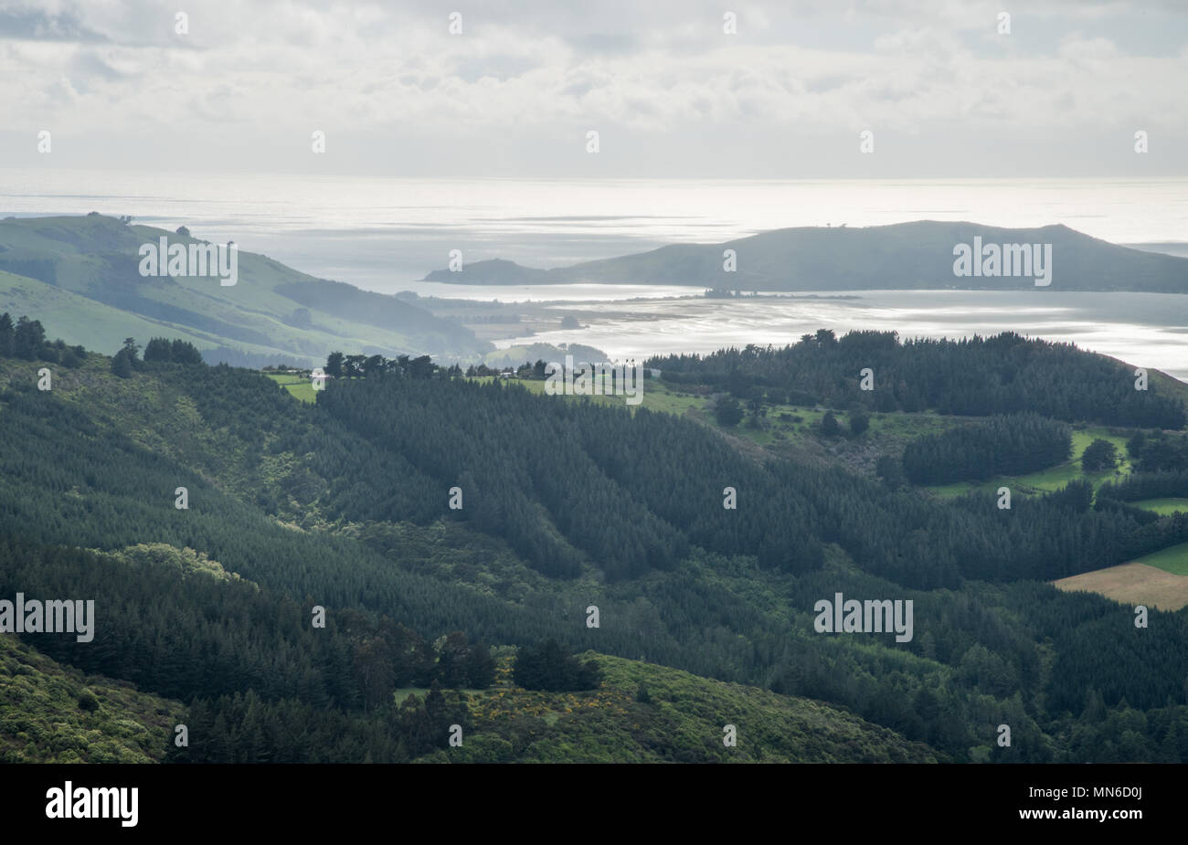 Scenic elevated view over the Otago Peninsula from Mt. Cargill with ...
