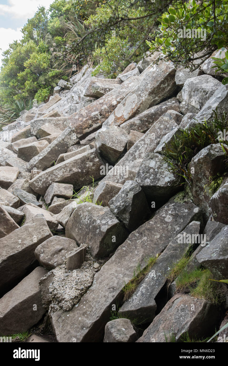 Organ pipes, volcanic rock formations, on Mt. Cargill with lush ...