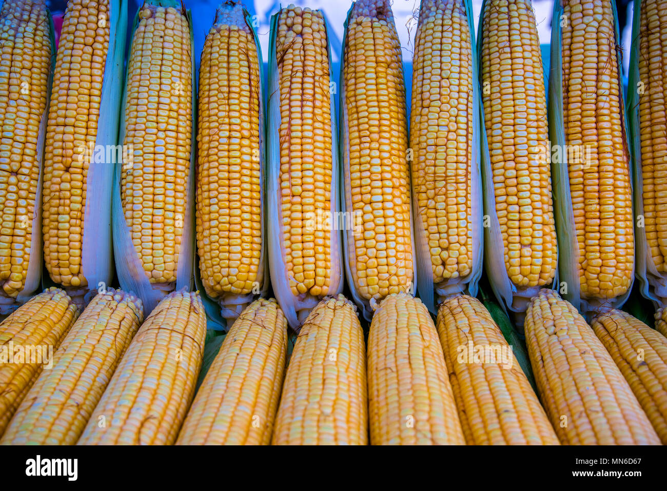 Raw Corns on the stall Stock Photo - Alamy