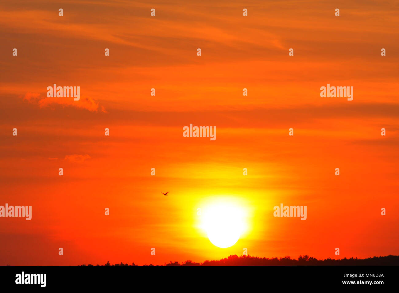 Sun goes down. Beautiful warm moment Stock Photo - Alamy