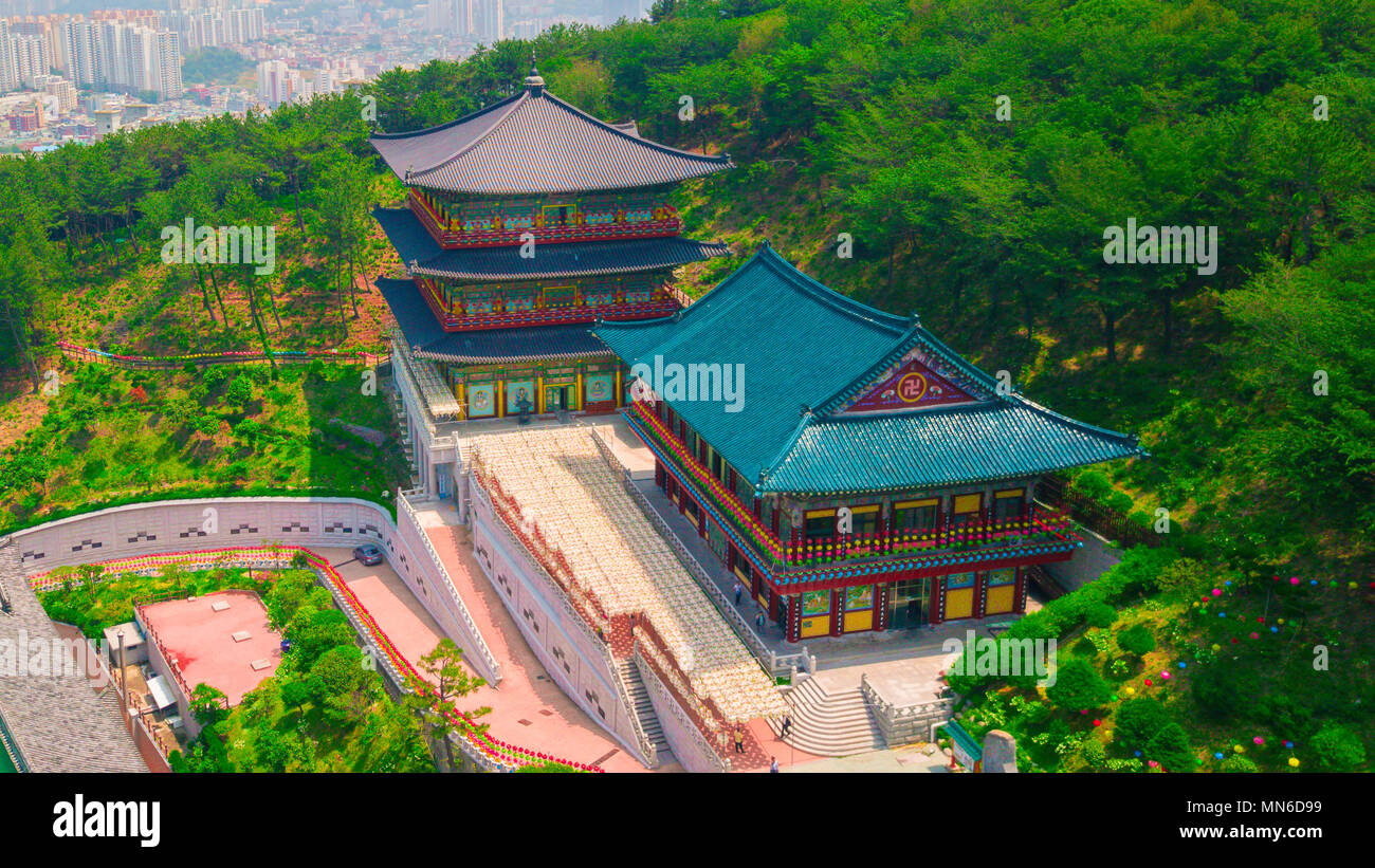 Aerial view of Samgwangsa temple in Busan city of South Korea. Thousands of paper lanterns ...