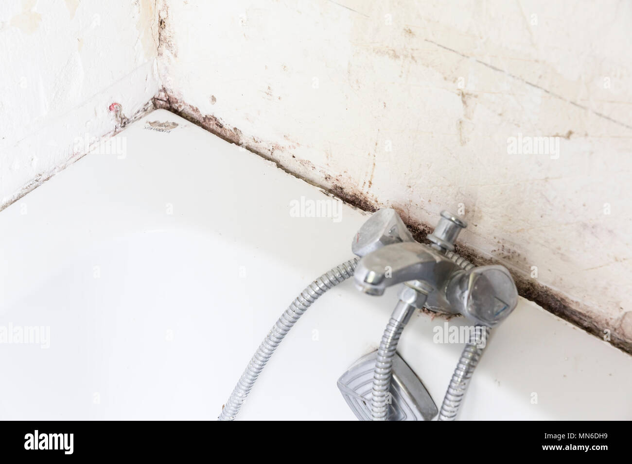 Disgusting home shower bathroom tile sealant with mould and mildew ...