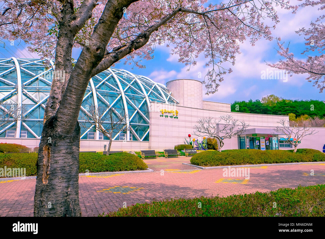 Beautiful Ulsan Grand Park during Spring season, South Korea. Colorful ...