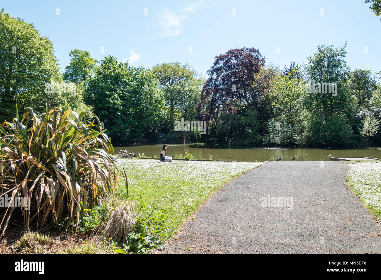 Joseph paxton birkenhead park hi-res stock photography and images - Alamy