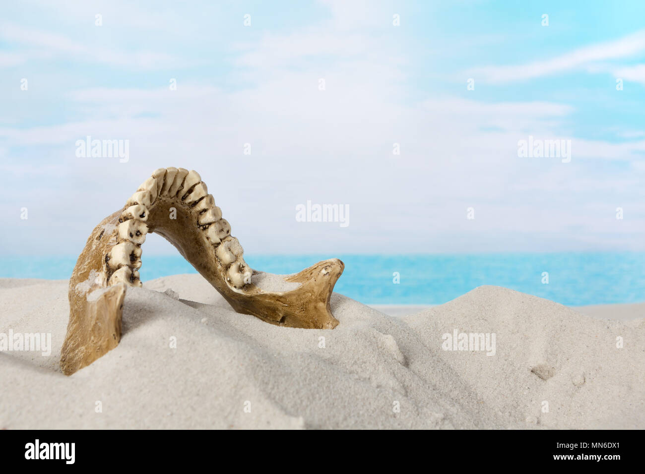 Skull human sand hi-res stock photography and images - Alamy