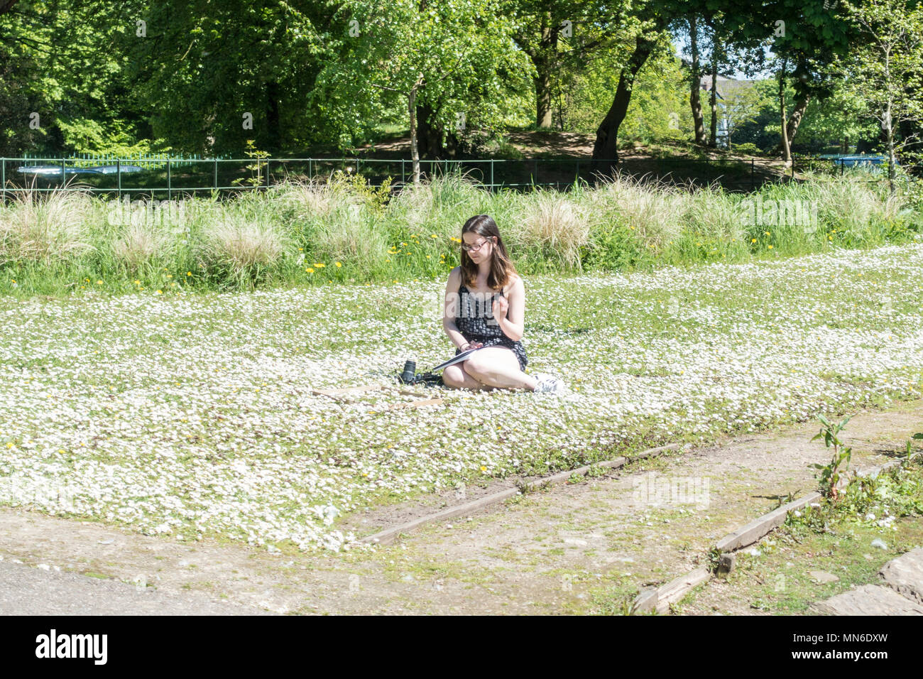 Female sitting in daisies hi-res stock photography and images - Alamy