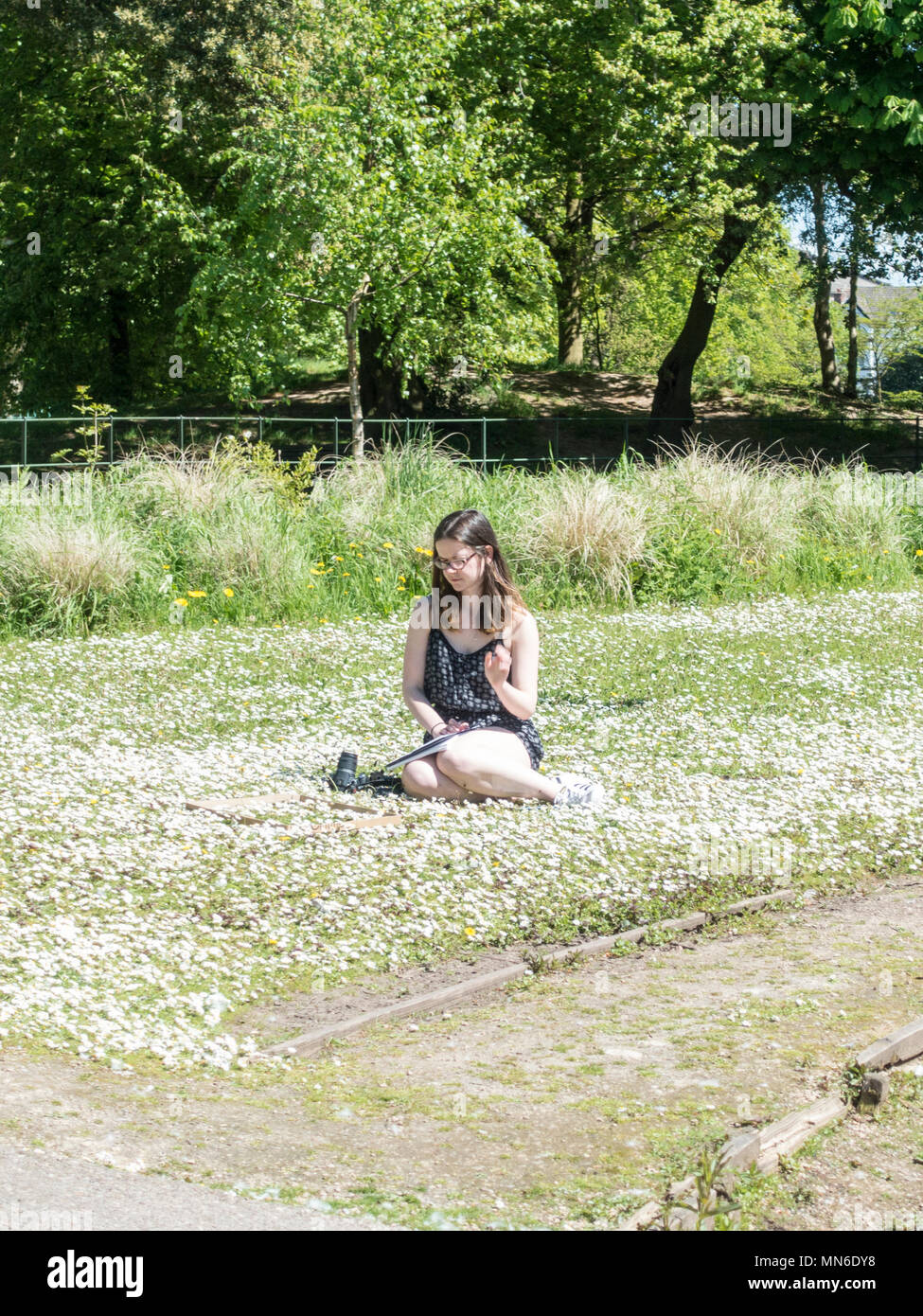 Female sitting in daisies hi-res stock photography and images - Alamy