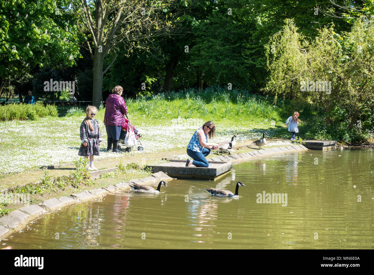 Birkenhead lake hi-res stock photography and images - Alamy
