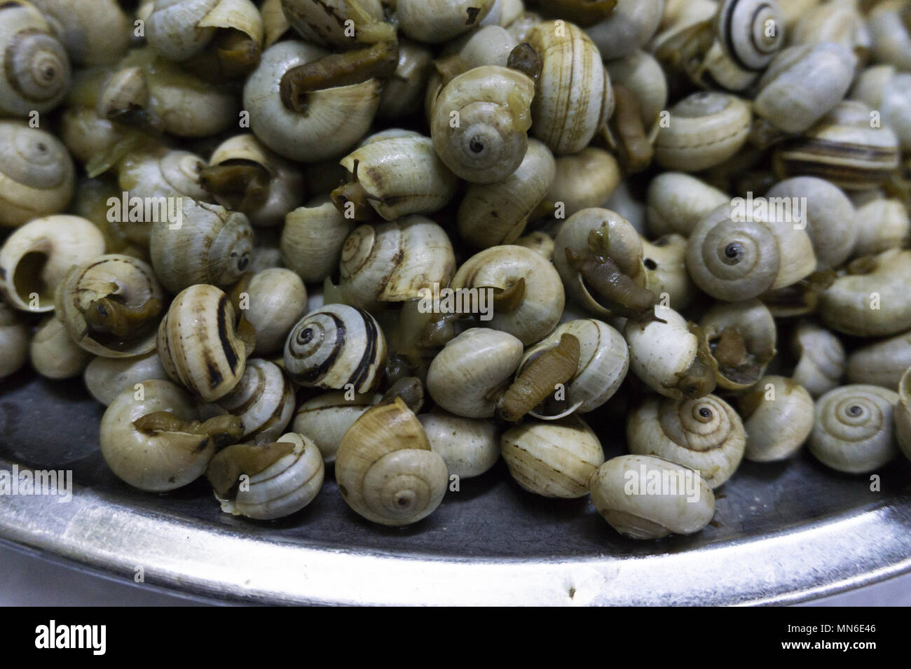 Snails food meal dinner lunch hi-res stock photography and images - Alamy