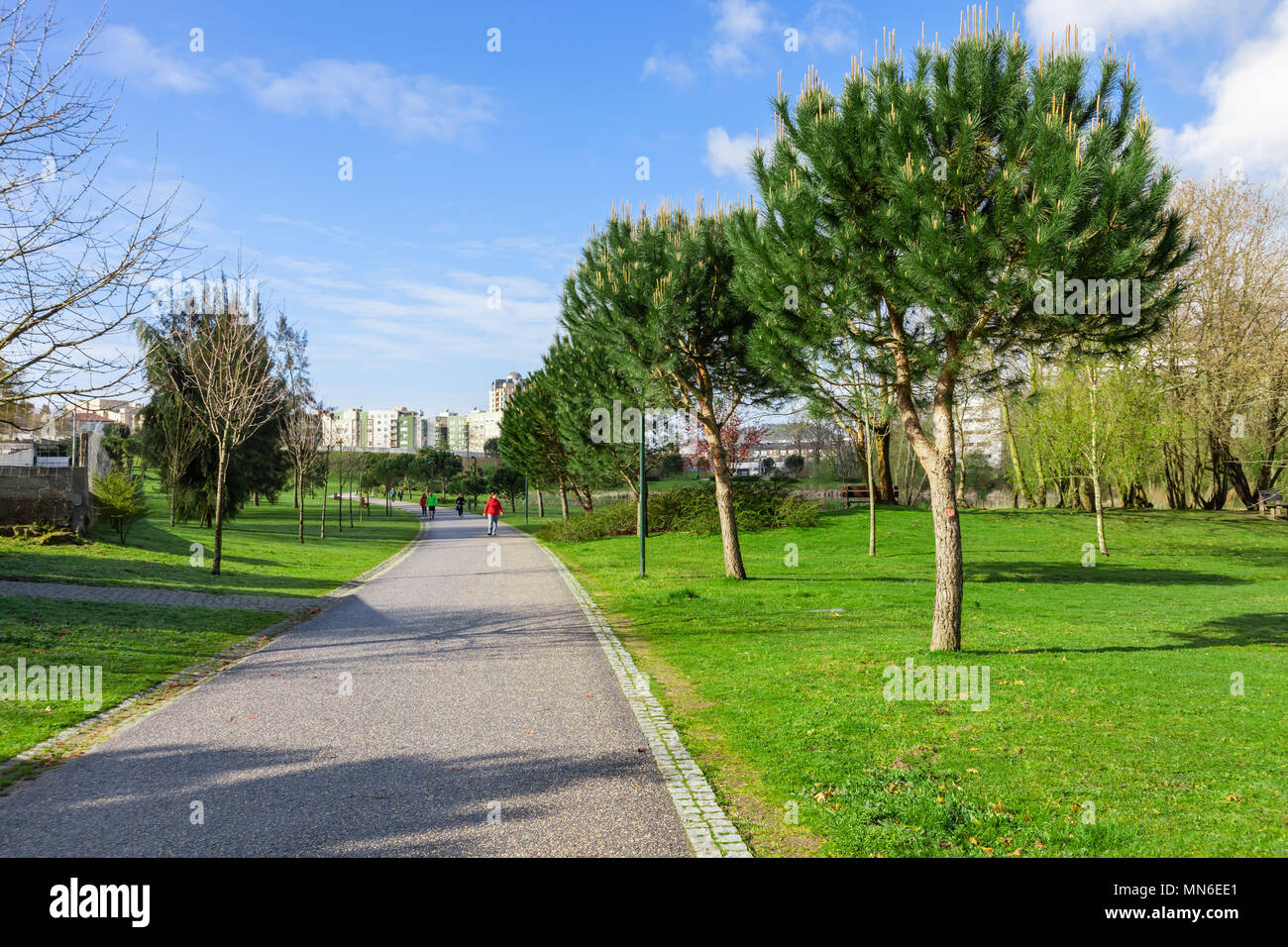 Pathway in grass hi-res stock photography and images - Alamy