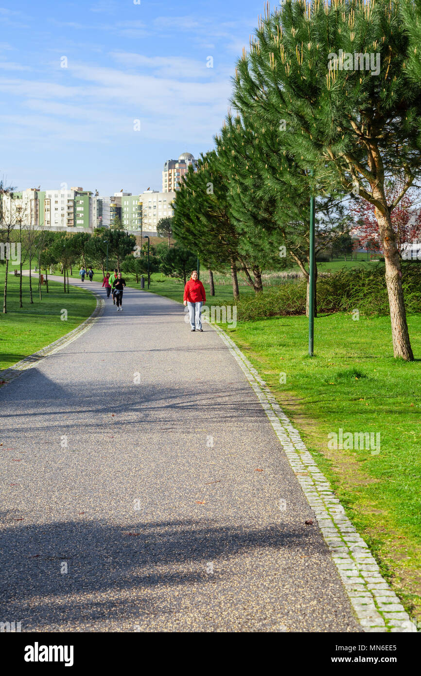 Pathway in grass hi-res stock photography and images - Alamy