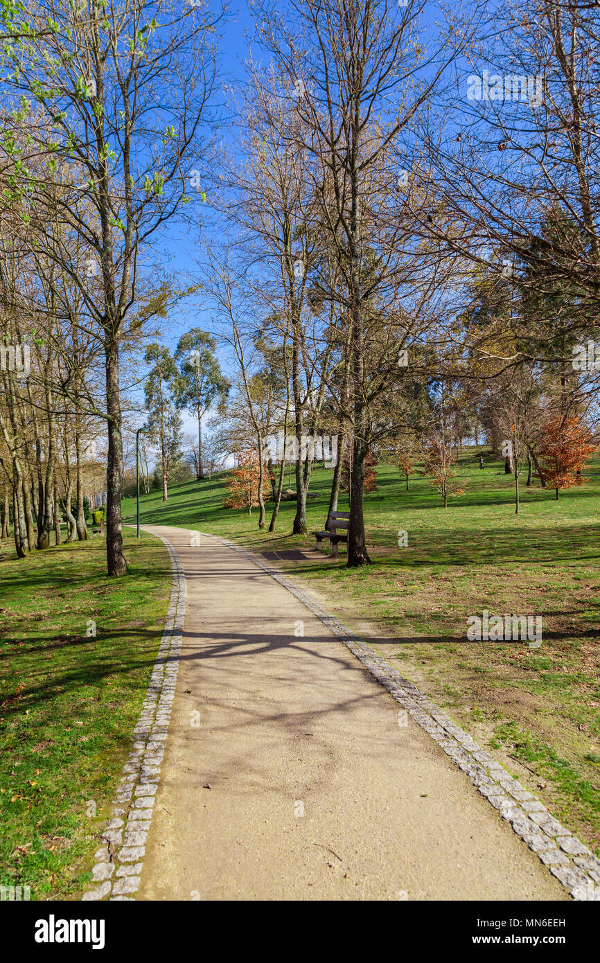Nature trees pathway dirt hi-res stock photography and images - Alamy