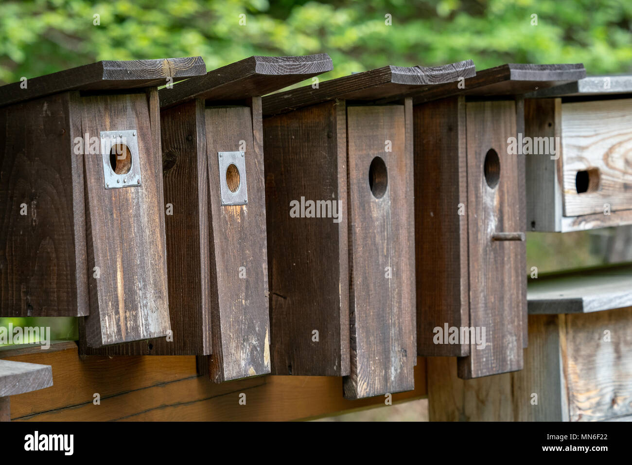 Wooden bird houses in a row, bird boxes Stock Photo - Alamy