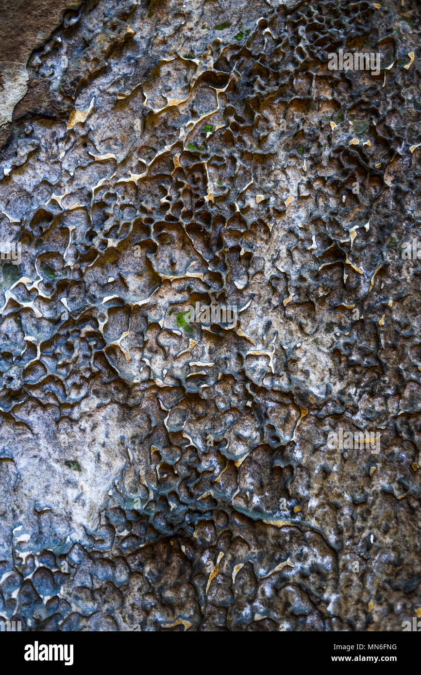 Bohemian paradise hill forest rocks hi-res stock photography and images ...