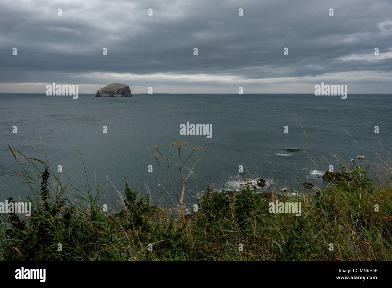 Scottish bird sanctuary hi-res stock photography and images - Alamy