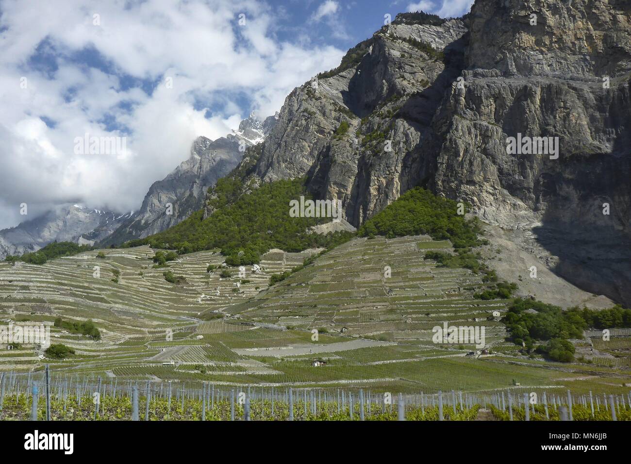 Switzerland Wallis Rhone Valley 6 May 2017 | usage worldwide Stock ...