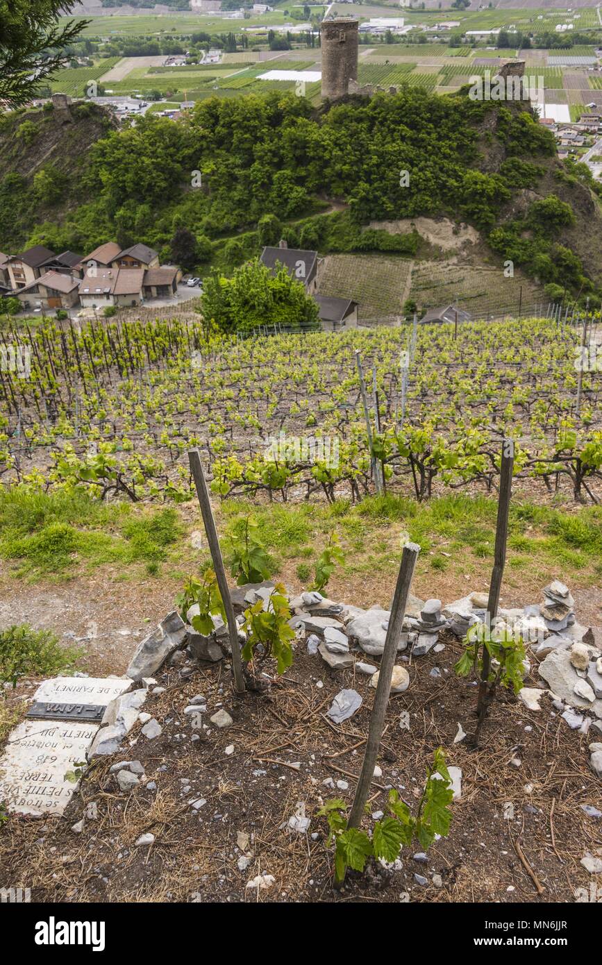 Switzerland Wallis Rhone Valley Tour Bayart 6 May 2017 | usage ...