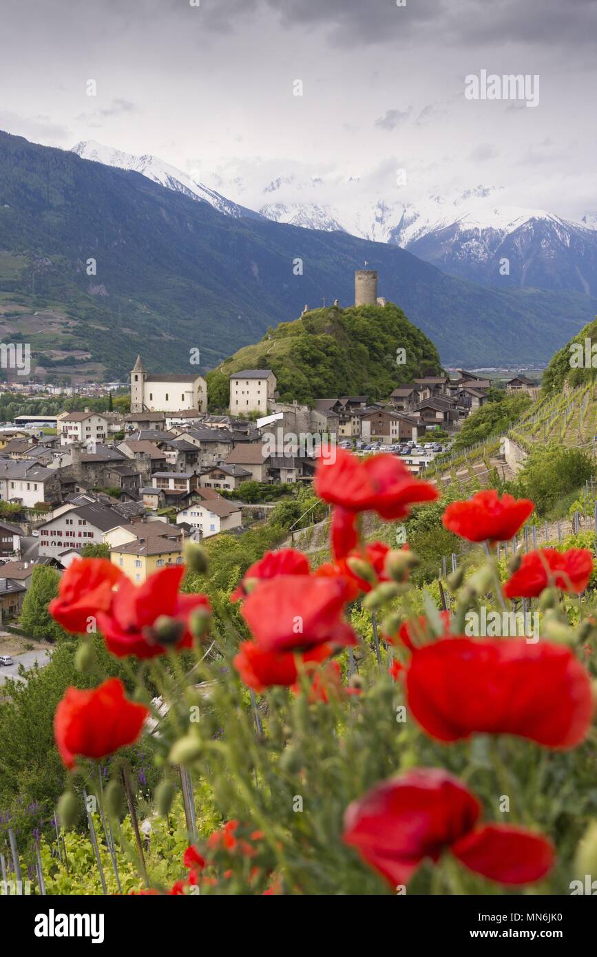 Switzerland Wallis Rhone Valley Tour Bayart 6 May 2017 | usage ...