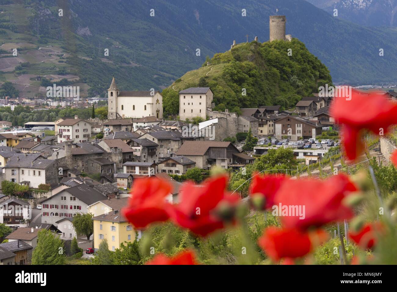 Switzerland Wallis Rhone Valley Tour Bayart 6 May 2017 | usage ...