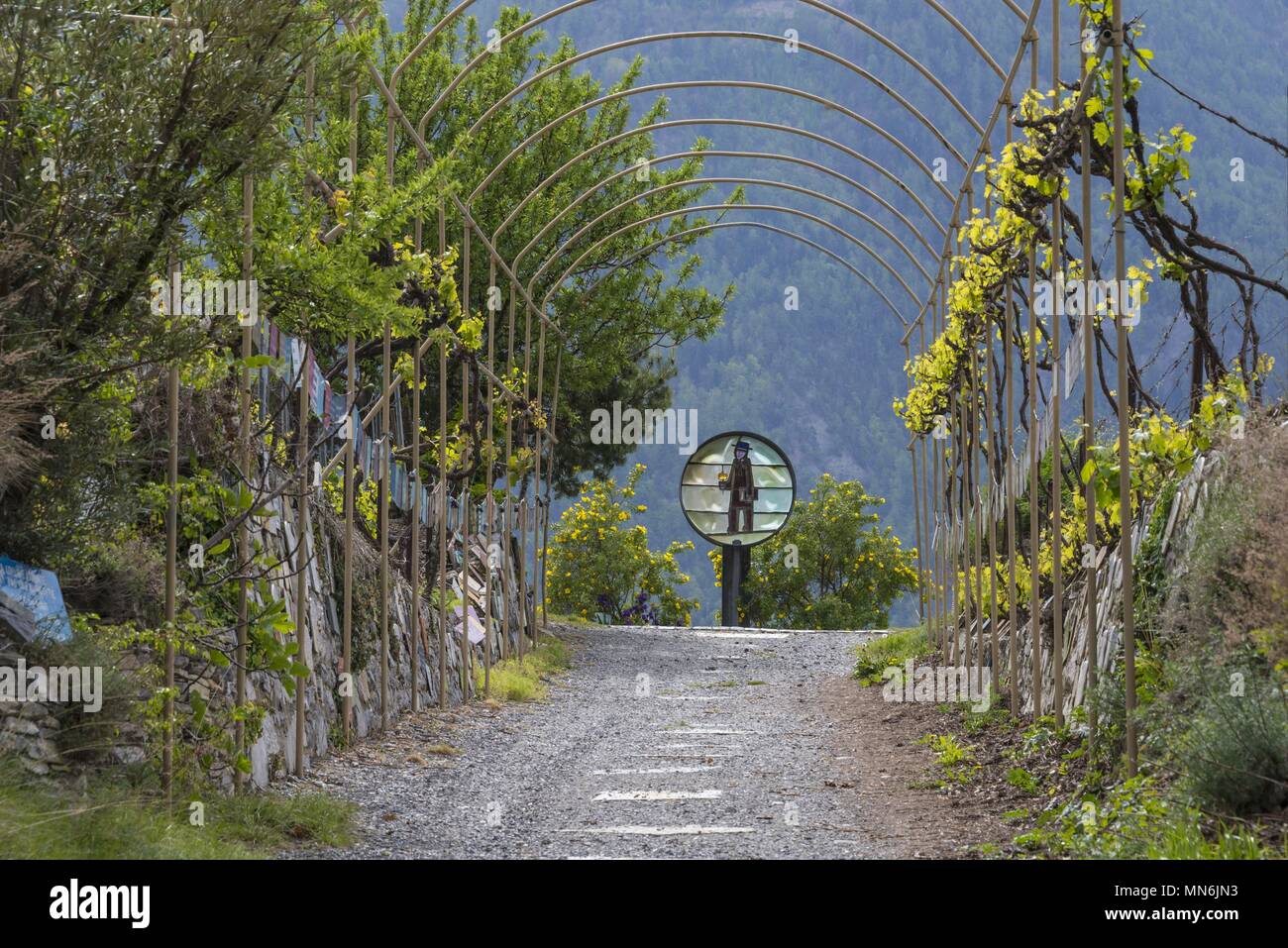 Switzerland Wallis Rhone Valley Tour Bayart 6 May 2017 | usage ...