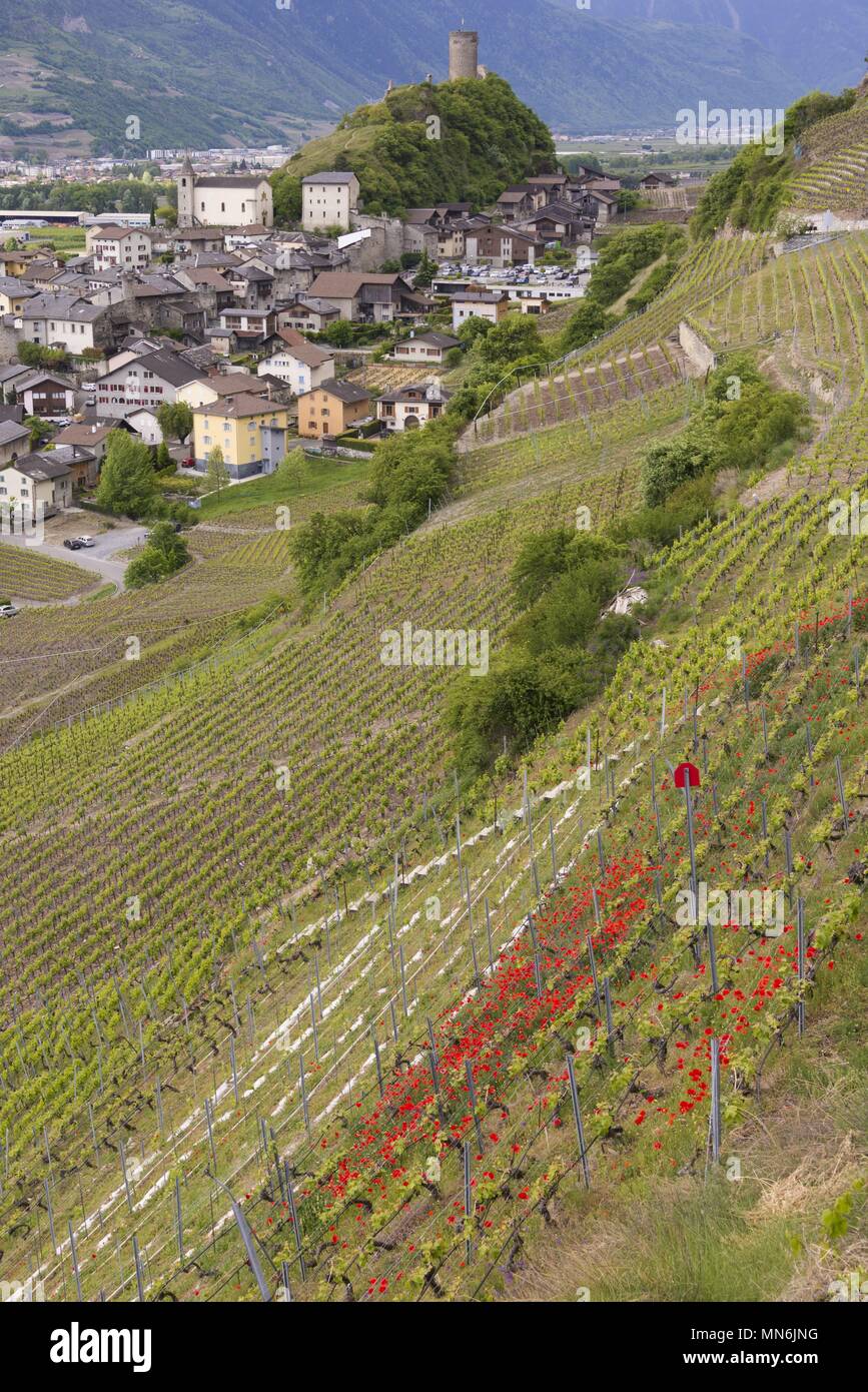 Switzerland Wallis Rhone Valley Tour Bayart 6 May 2017 | usage ...