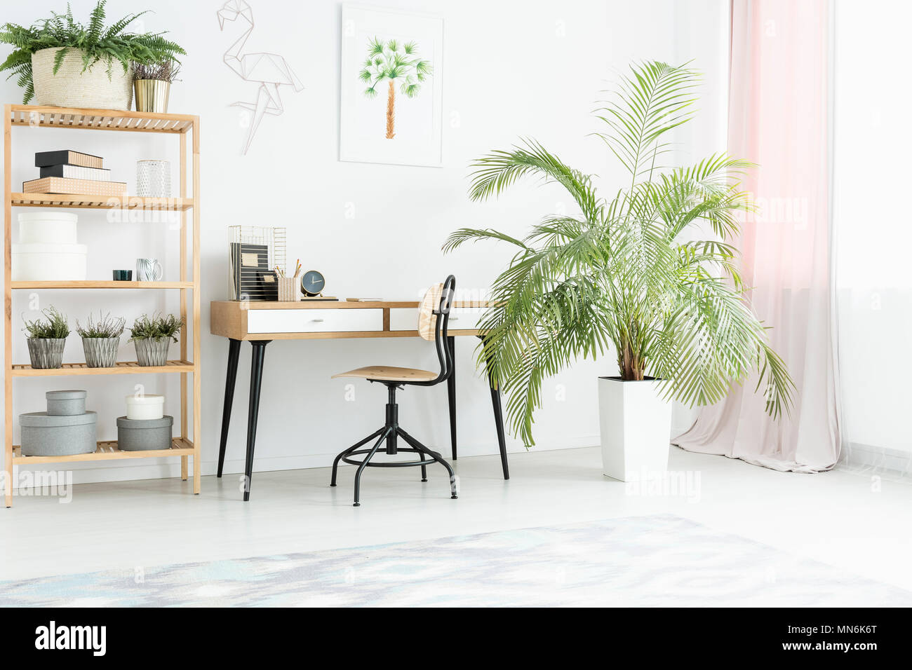 Plant next to desk and chair in bright workspace with wooden shelves ...