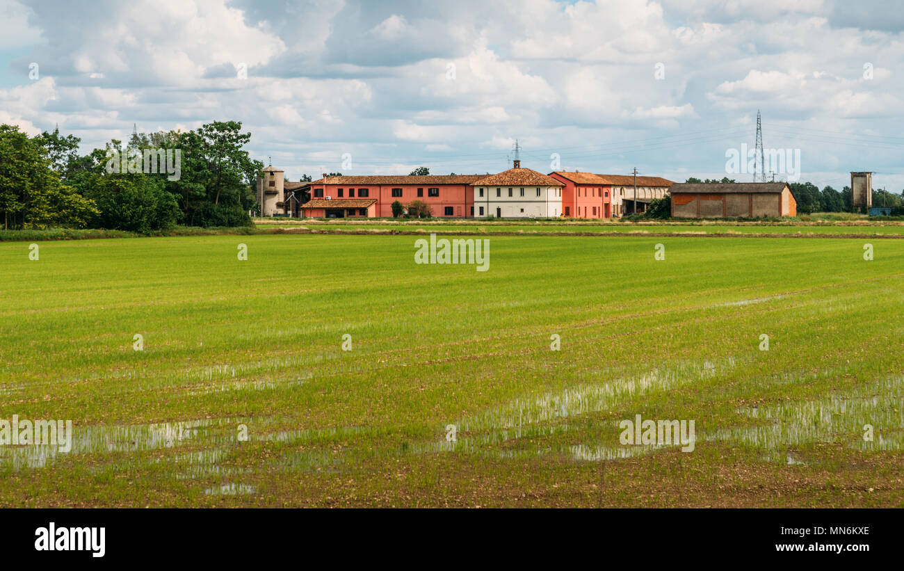 Vercelli Rice High Resolution Stock Photography and Images - Alamy