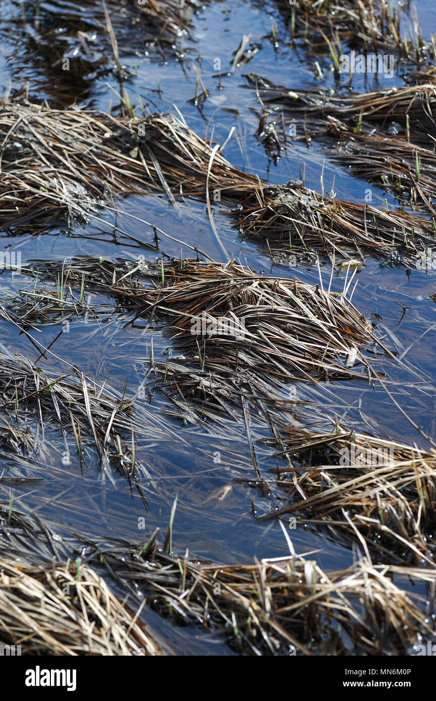 Drop the water level in the stream. The appearance of bumps with dry ...