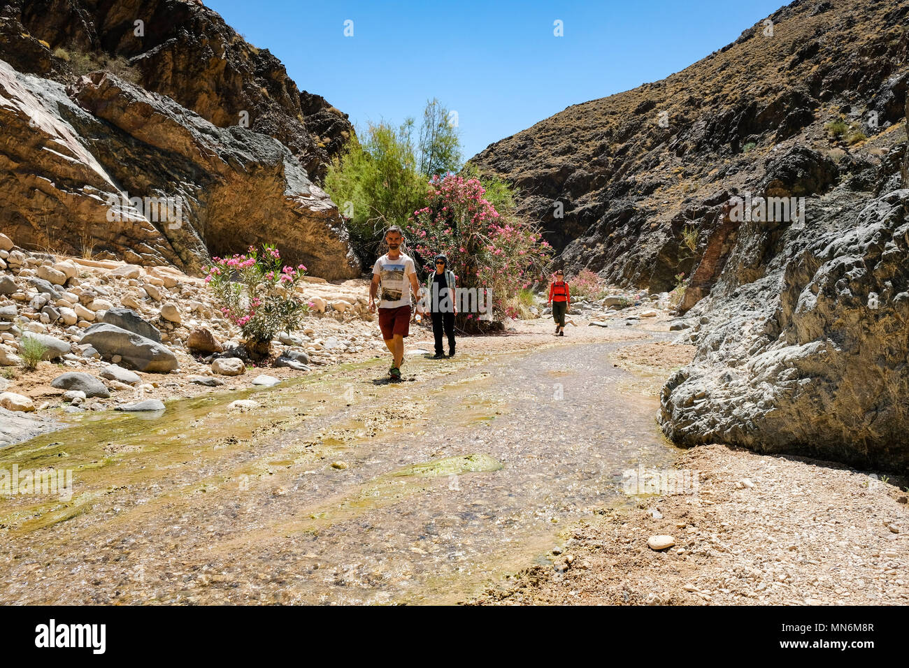 Tourists trekking in the riverbed of a wadi Stock Photo - Alamy
