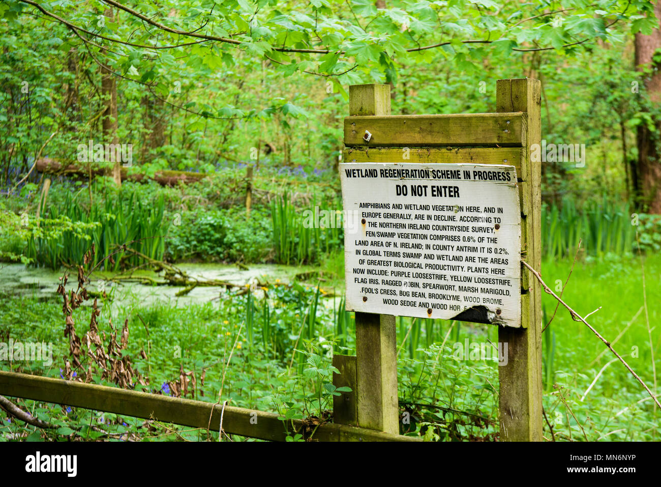 Sign at a wetland regeneration scheme, giving people information about ...