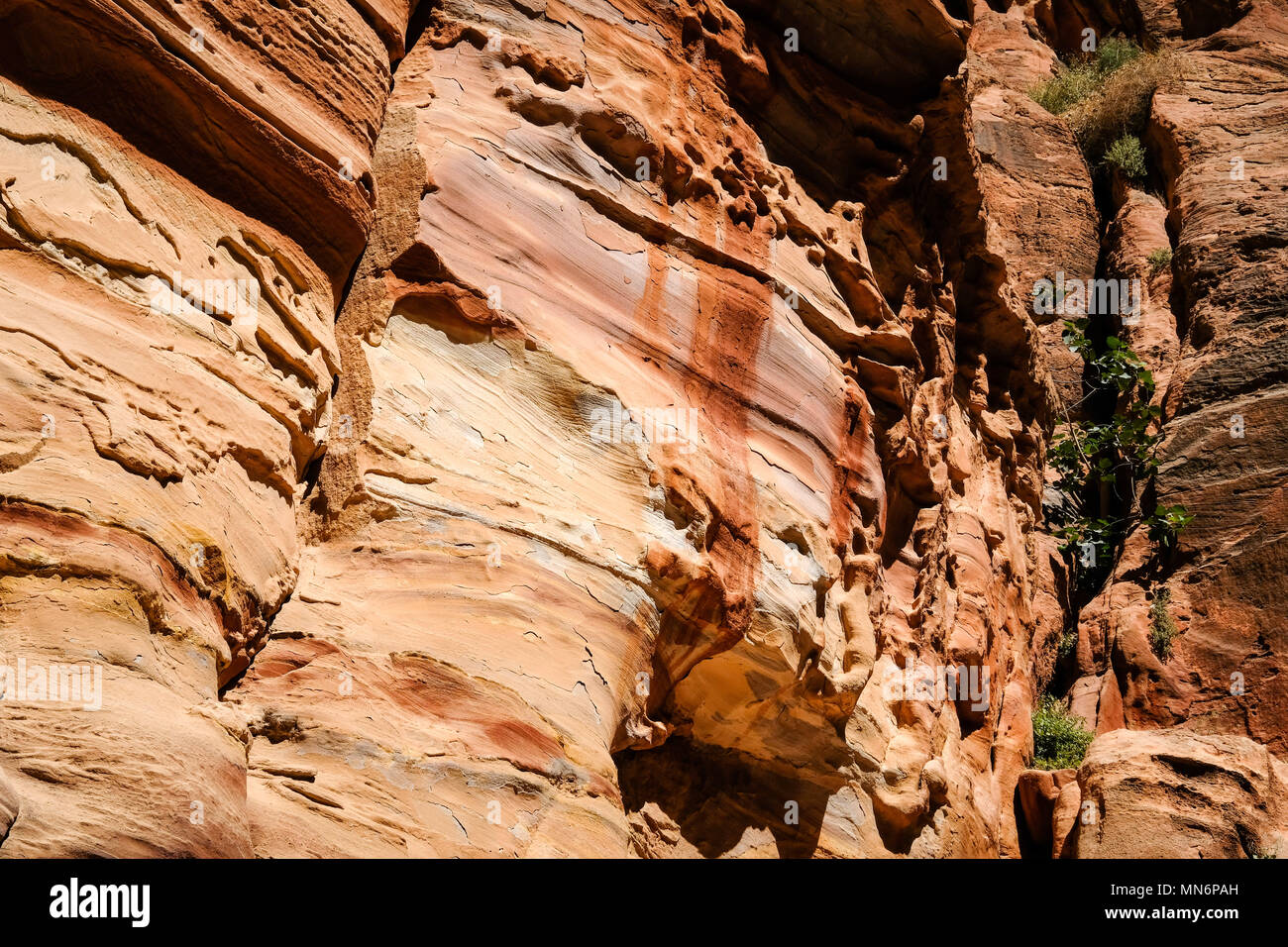 Colorful sandstone wall eroded in a design in Petra World Heritage site ...
